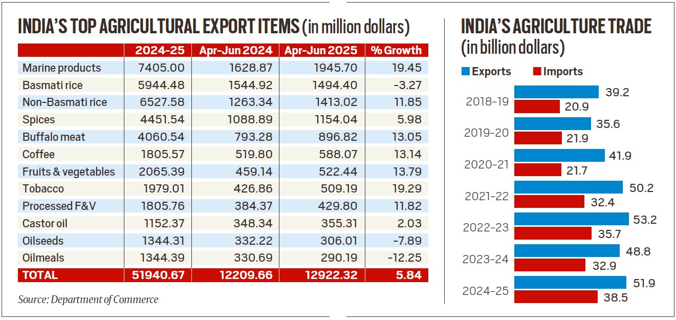 How India’s farm exports are faring better than overall goods exports ...