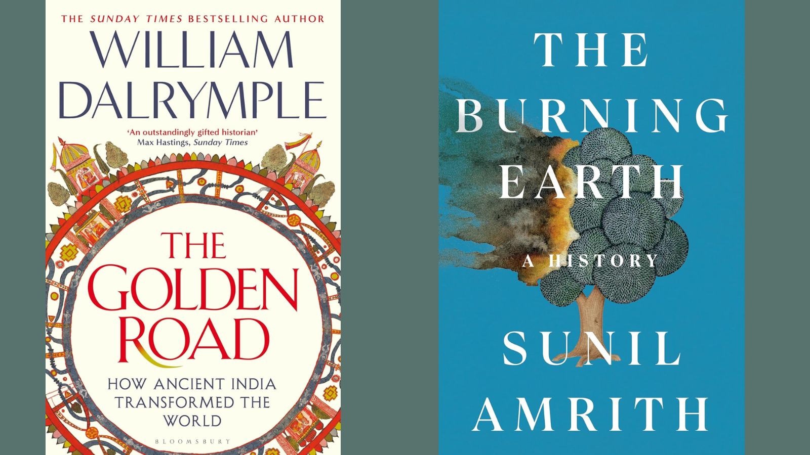 William Dalrymple and Sunil Amrith shortlisted for £25,000 British ...