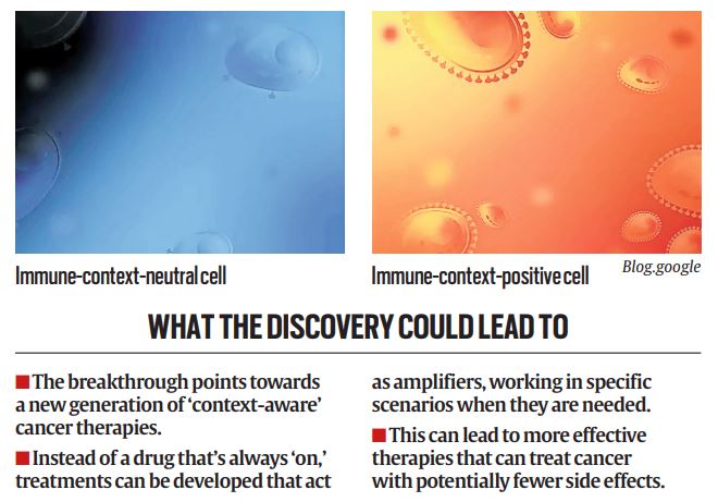 Google AI model helps unmask cancer cells to the immune system: Lead ...