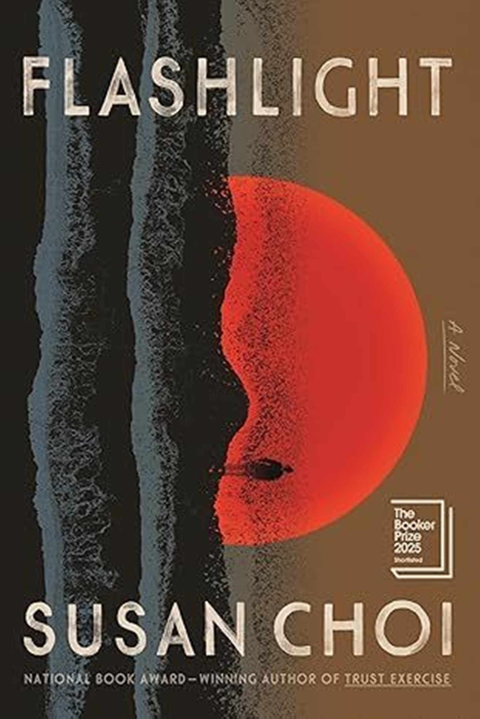 Flashlight by Susan Choi — a haunting tale of memory, loss, and the ...